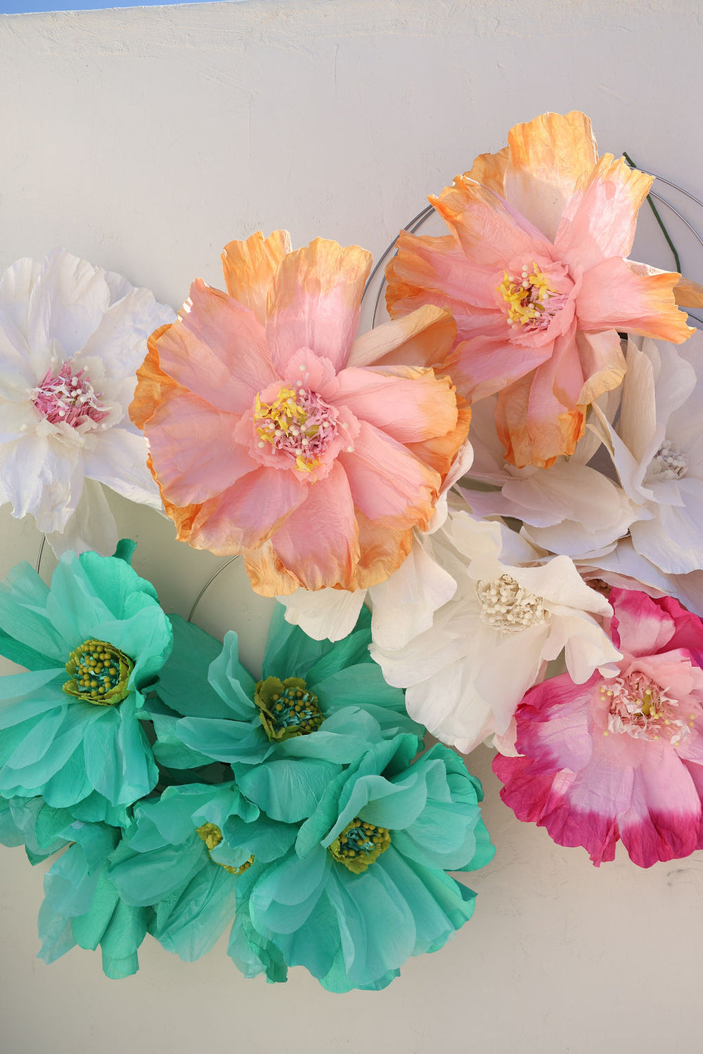 Two Toned Flower – Neue Blvd